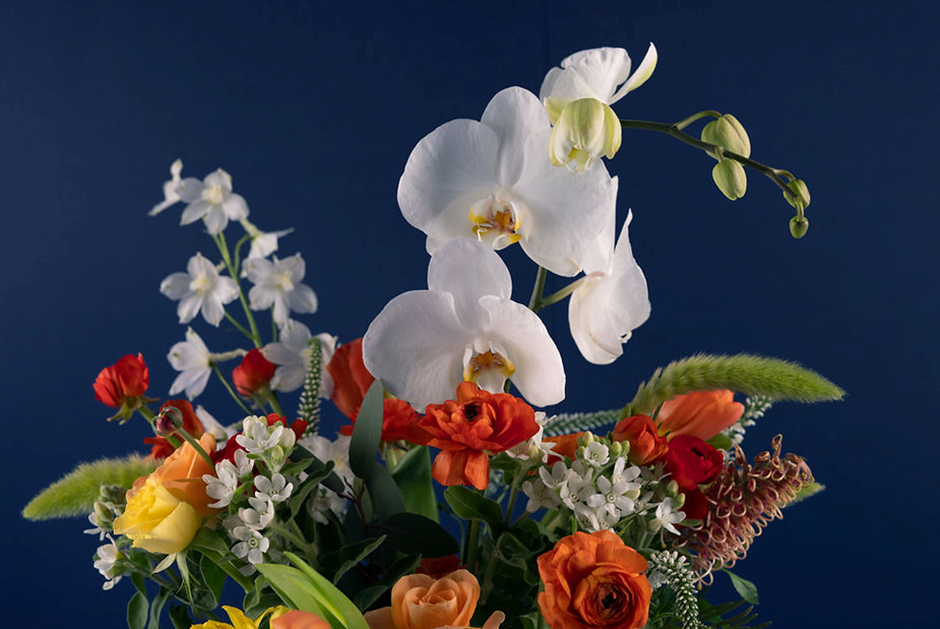 The inclusivity of flowers – Home